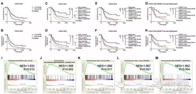 中国医科大学附属一院神经肿瘤研究团队证实局部微环境应激因素与胶质瘤患者预后相关 - 脑医汇
