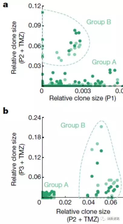 胶质瘤干细胞决定胶质瘤的发生发展 - 脑医汇 - 神外资讯 - 神介资讯