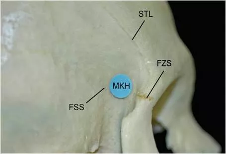 中青年神经外科医师素养：求真贵确 - 脑医汇