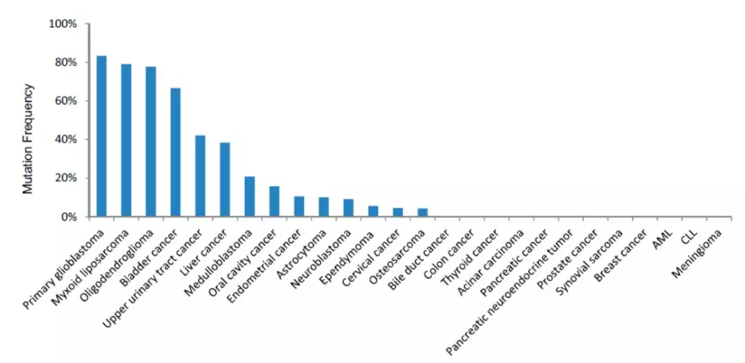 基因时间 | 脑胶质瘤IDH和TERT从科研到临床的探索实践之路 - 脑医汇