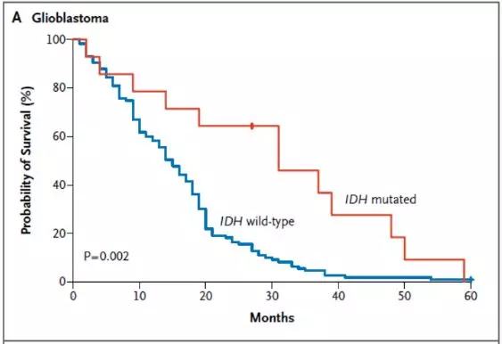 基因时间 | 脑胶质瘤IDH和TERT从科研到临床的探索实践之路 - 脑医汇