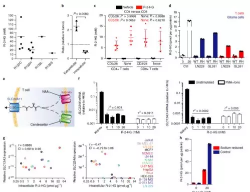 R-2-HG抑制抗肿瘤T细胞的免疫原性 - 脑医汇