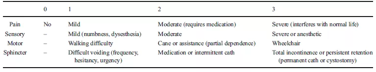 用于评估脊髓血管病疗效的新型分级系统 - 脑医汇