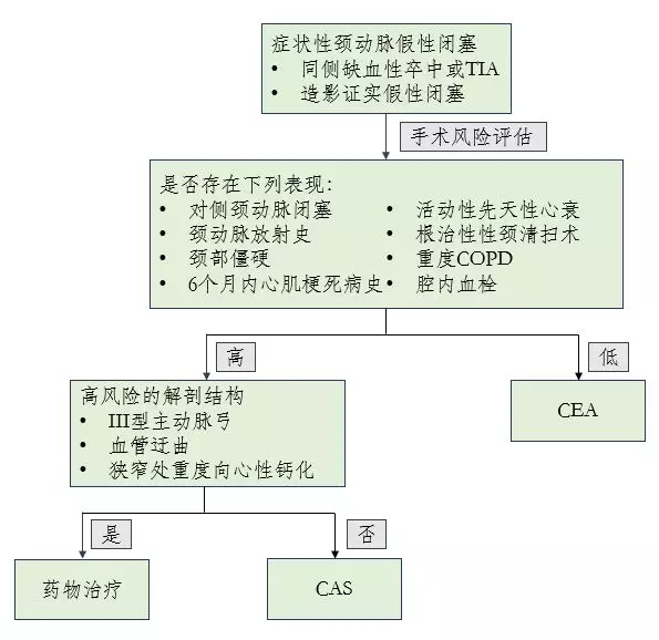 颈内动脉次全闭塞的治疗：CAS VS CEA - 脑医汇