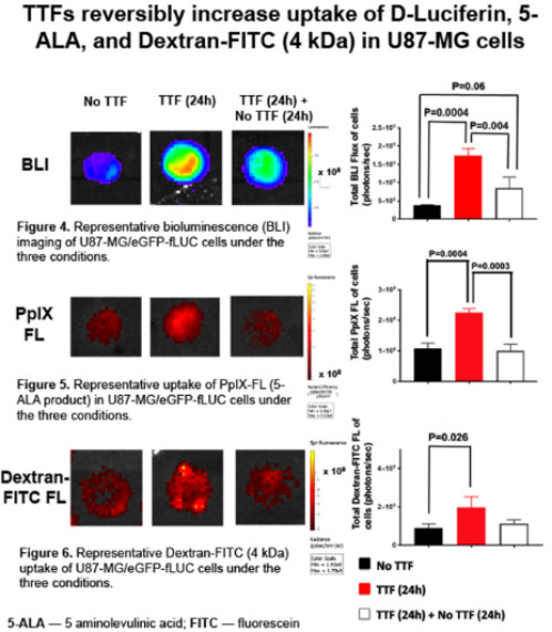 2019年美国神经肿瘤学会年会（SNO2019）TTFields精彩速递——TTFields与药物联合治疗的增效机制和初步实践 - 脑医汇