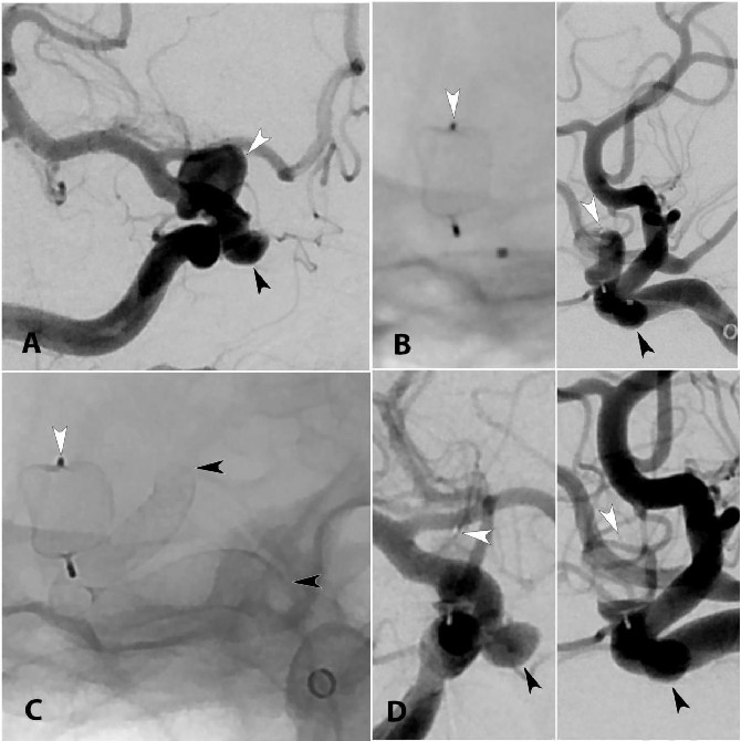 超适应症使用WEB装置 - 脑医汇