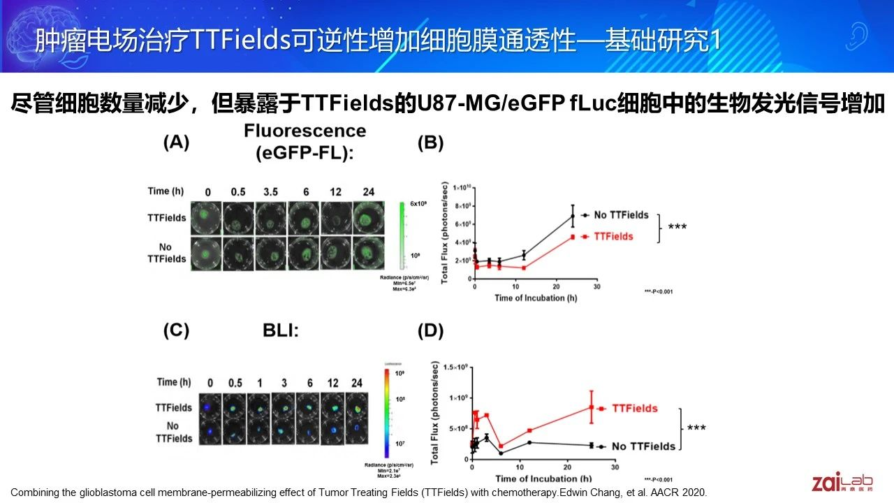 薛晓英教授：TTFields与细胞膜通透性—AACR II 新进展 - 脑医汇