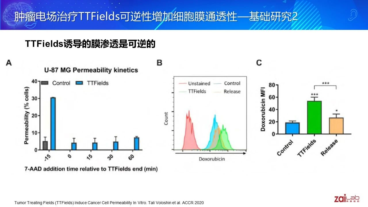 薛晓英教授：TTFields与细胞膜通透性—AACR II 新进展 - 脑医汇