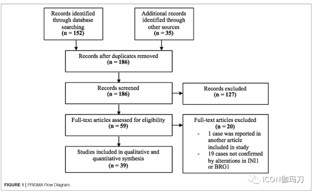 【系统综述】成人的不典型畸胎样/横纹肌样肿瘤 - 脑医汇 - 神外资讯 - 神介资讯