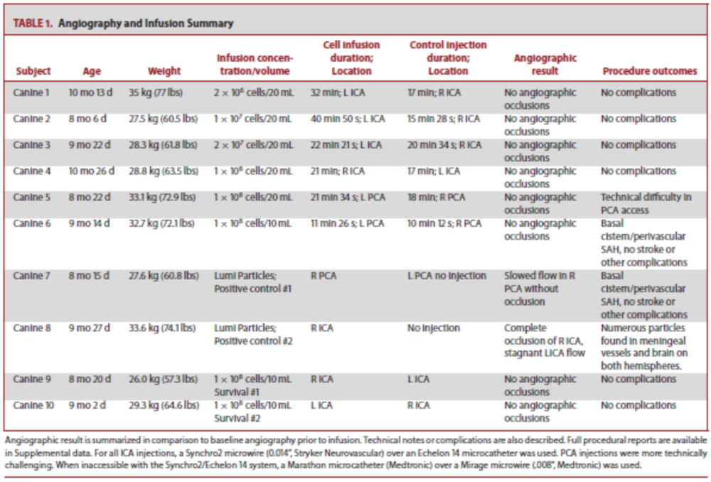 选择性动脉内注射装载Delta-24的间充质干细胞在犬模型中的应用 - 脑医汇