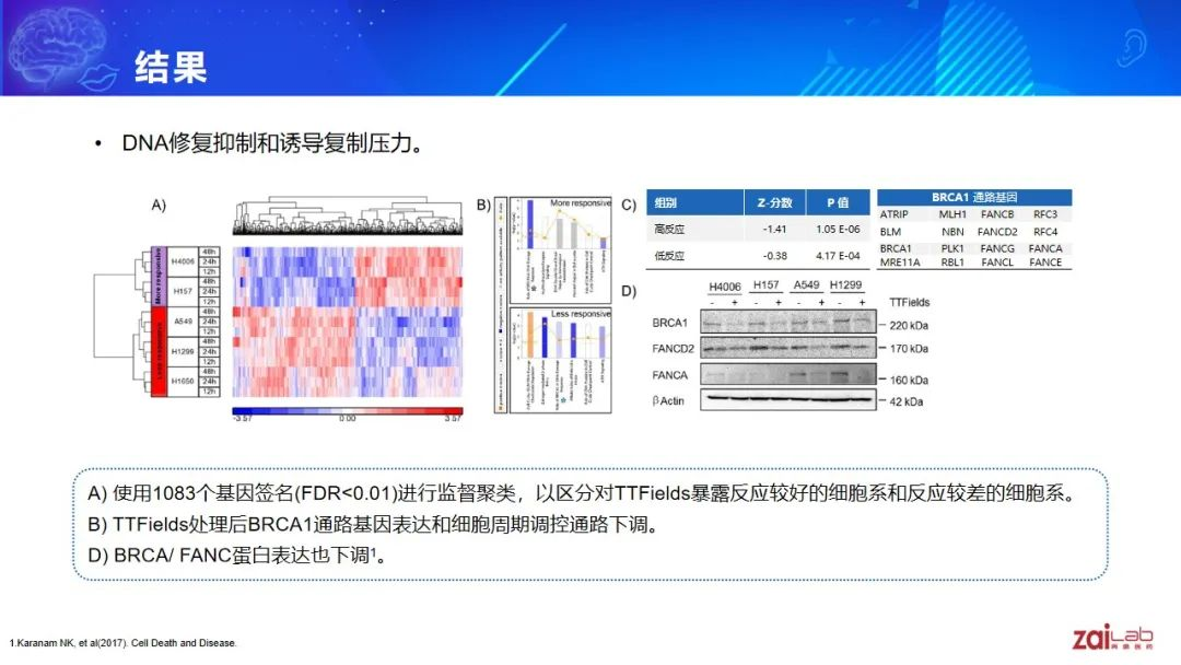 郭琤琤教授：2021 AACR TTFields-update - 脑医汇