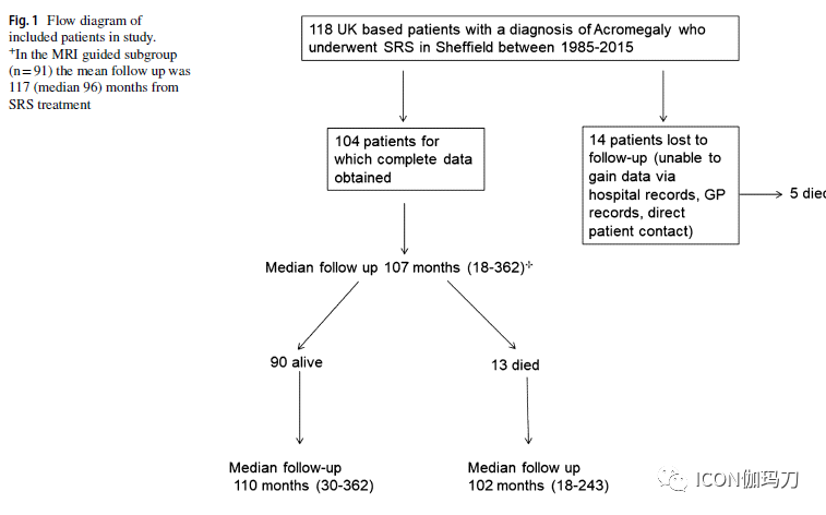 【文献快递】伽玛刀放射外科治疗肢端肥大症的长期安全性 - 脑医汇