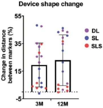 兔动脉瘤模型中WEB装置形状变化现象及相关性分析 - 脑医汇